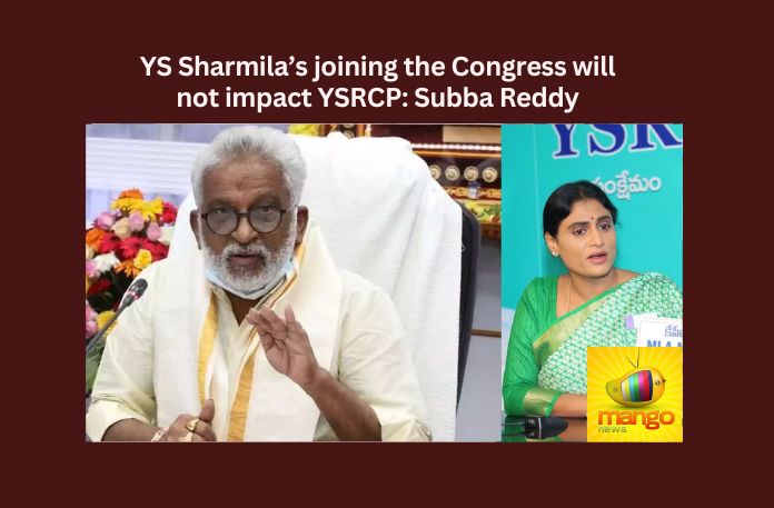 YS Sharmila’s joining the Congress will not impact YSRCP: Subba Reddy - Mango News